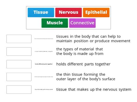 G11 U3 L3 Starter 1 Match Up