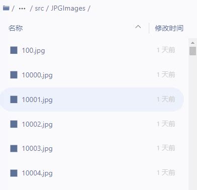 BUG 训练自定义数据集时在数据增强部分挂掉显示Error Blocking queue is killed because the data reader raises an