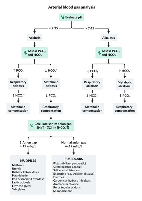 Acid Base Compensation