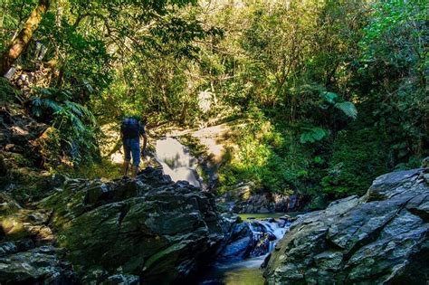 Bach Ma National Park Hue Heaven For Nature Tourism Vietnamvacation