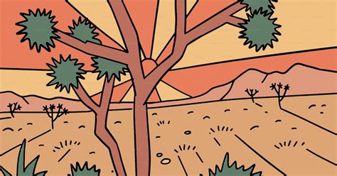 사막 국립 공원의 조슈아 나무 인쇄 디자인 일몰 저녁 풍경입니다 손으로 그린 선형 복고풍 벡터 그림 사진 Unsplash의 선인장 이미지