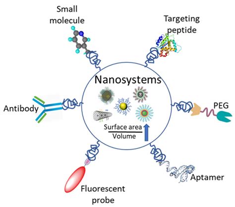 nanomaterials free full text nanotechnology based diagnostics for
