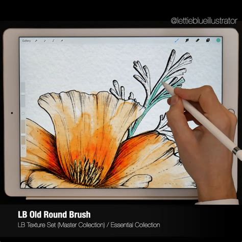 Watercolor Illustrations In Procreate 5 Botanical Art Artofit