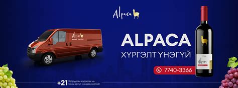 Очирт Мед Уламжлалт бариа заслын эмнэлэг Тархи доргилт Concussion