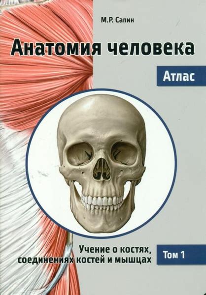Анатомия человека Атлас Т I Учение о костях 2 купить с доставкой по выгодным ценам в