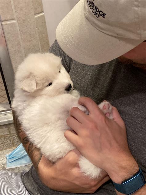 Best Maisie Images On Pholder Celebs With Petite Tits Maisiewilliams And Celebhub