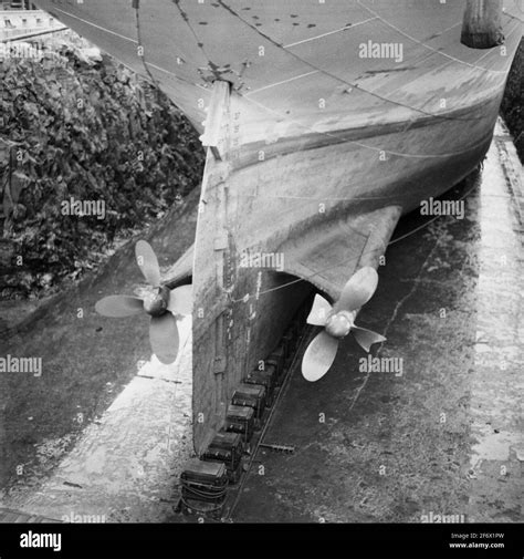 Margjohnsson Pictured Namemargjohnsson Pictured Name Stock