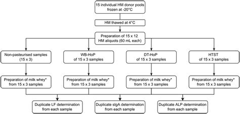 Study Flowchart HM Human Milk DT HoP Dry Tempering Holder Download Scientific Diagram