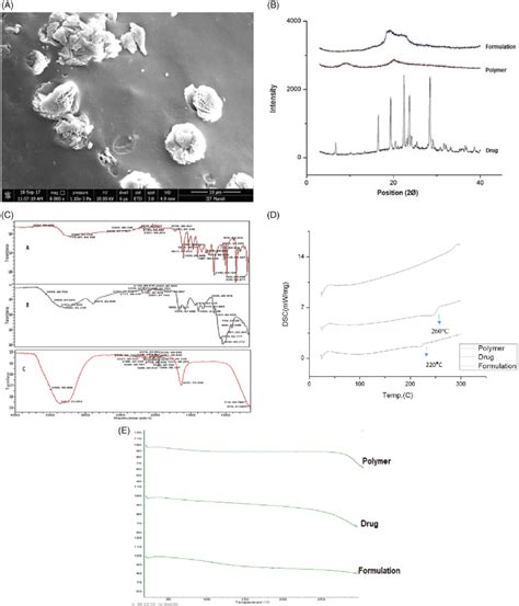 A Sem Image Of Resveratrol Loaded Microsponge Formulation