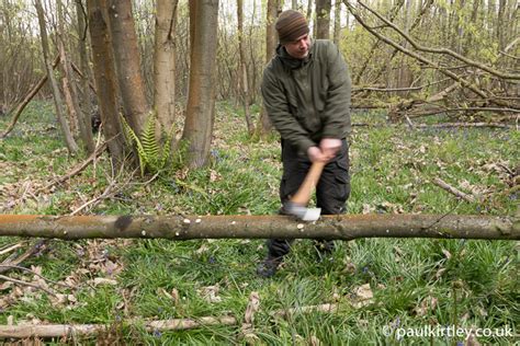 Limbing And Sectioning Trees With An Axe