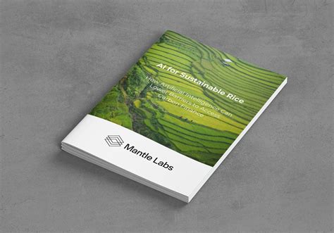 ai for sustainable rice how artificial intelligence could lower
