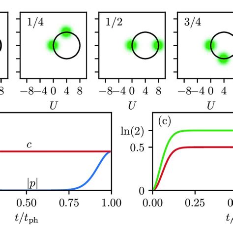 A Dynamics Of The Phonon Wigner Function After A Single Pulse Download Scientific Diagram