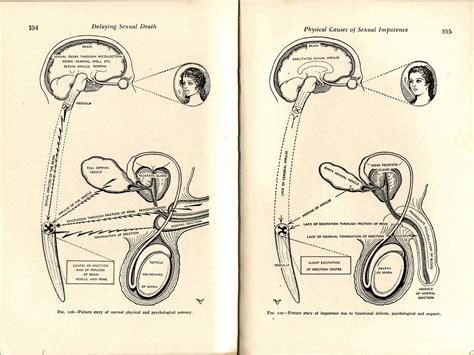 The Burnt Selena Project Wonderful World Of Clutter How The Male Brain Works