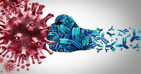 Anticorpi Su Misura Con Lingegneria Molecolare Laregionech