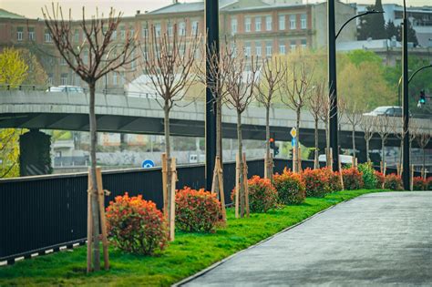 Kakha Kaladze კახა კალაძე Kakha Kaladze კახა კალაძე