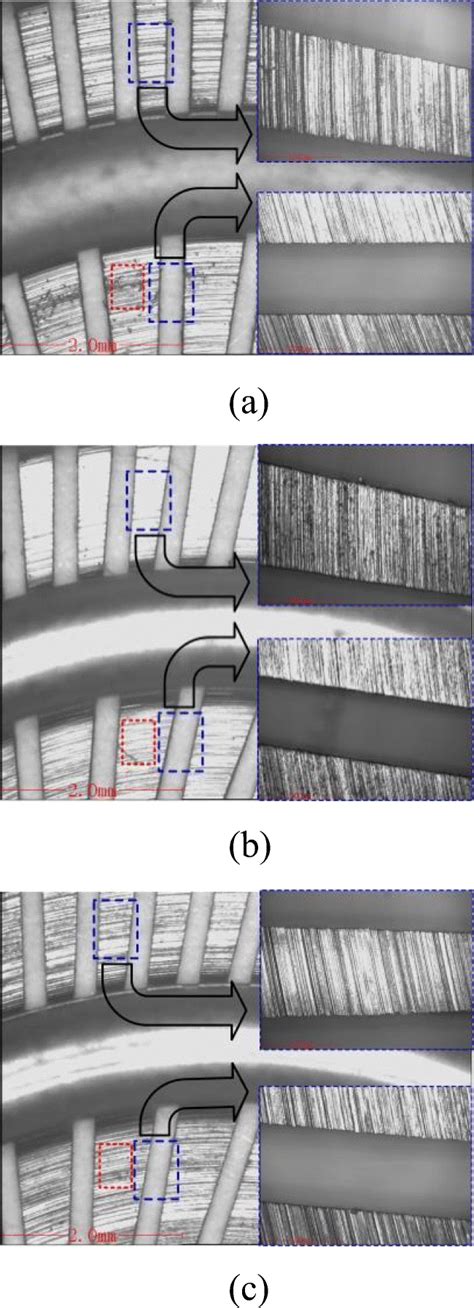 Inner And Outer Torus Surfaces Processed With Different Circular