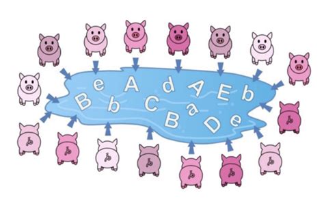 Biology Lesson Patterns Of Evolution Flashcards Quizlet