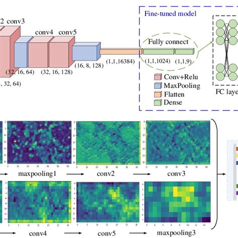 Fine Tuned Smallervgg Fts Vgg Model For Multi Label Classification Of Download Scientific