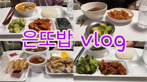 17•이모 잘 먹지자취생일상 자취브이로그 집밥브이로그 집순이브이로그돼지고기뭇국 파전 베이컨김치덮밥 순두부찌개 쟁반짜장 뚱바라떼 김치두루치기 Youtube
