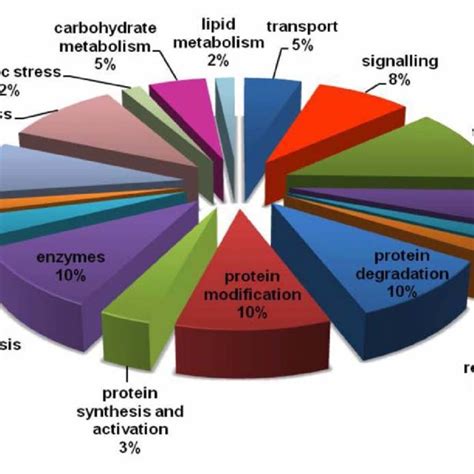 Functional Categorization Of Differentially Expressed Genes At 6 H