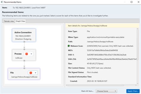 Triaging An Incident With Cyber Triage Cyber Security Architect Redblue Teaming Exploit