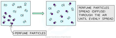 Diffusion Osmosis Active Transport Edexcel IGCSE Science Double Award Revision Notes 2017