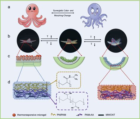 A Schematic Illustration Of The Bioinspired Structural Download Scientific Diagram