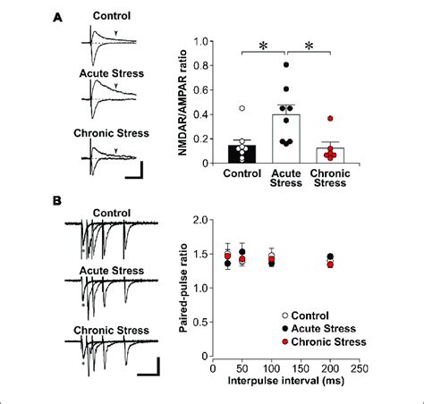 Acute Stress Enhances The Nmdarampar Ratio A Left Representative