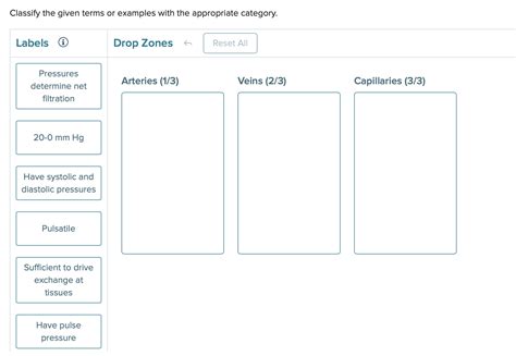solved classify the given terms or examples with the