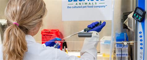 Pei Bioalliance Pei Bioscience Cluster Prince Edward Island Canada