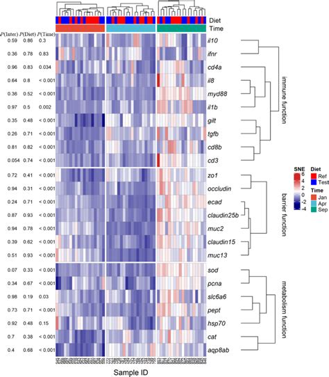 Gene Expression Profile In The Distal Intestine Diet Columns Were