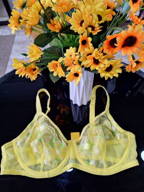 ცისარტყელა მეგობრებო ცისარტყელაში ლიფების და ტრუსების