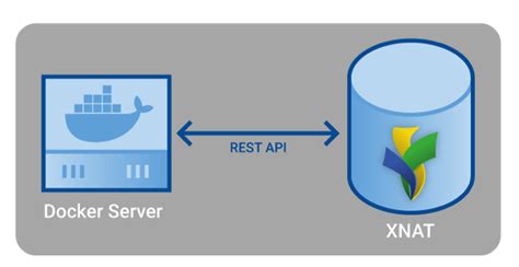 Part 2 Xnat Container Service