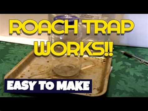 How To Make A 1 Roach Trap And End Your Bug Problems For Good How To