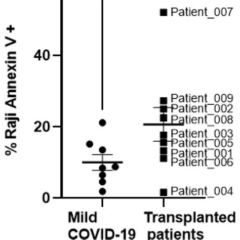Analysis Of Adcc In Individuals With Oncohematological Neoplasms After