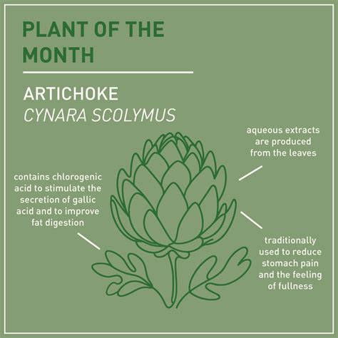 Anklam Extrakt Gmbh On Linkedin Hohoho 🎅 The Festive Season Has