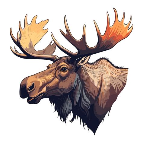 Premium Vector Hand Drawn Moose Head Illustration