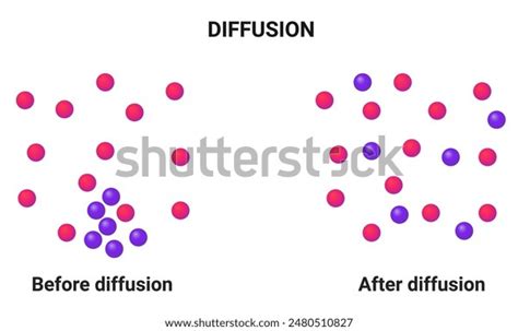 Thermal Diffusivity Over 77 Royalty Free Licensable Stock Illustrations And Drawings Shutterstock