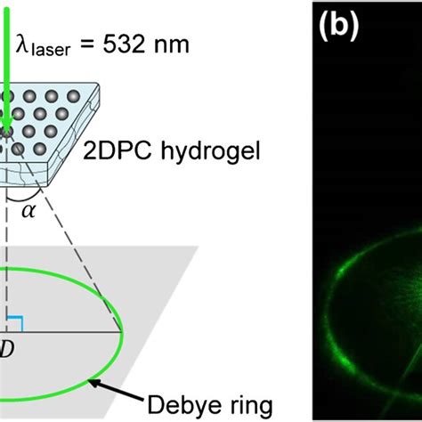 Aptamer Functionalized 2d Photonic Crystal Hydrogels For Detection Of