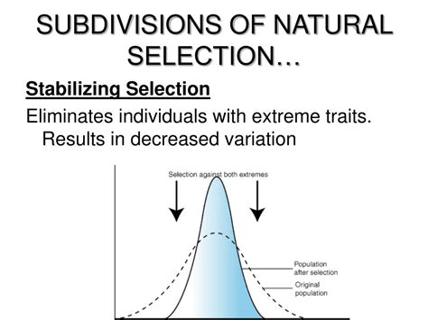 Ppt Microevolution Vs Macroevolution Powerpoint Presentation Free Download Id 4503629