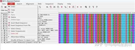 构建系统发育树进化树 知乎
