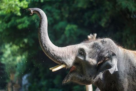 United States Postgresql Association On Linkedin Postgresql