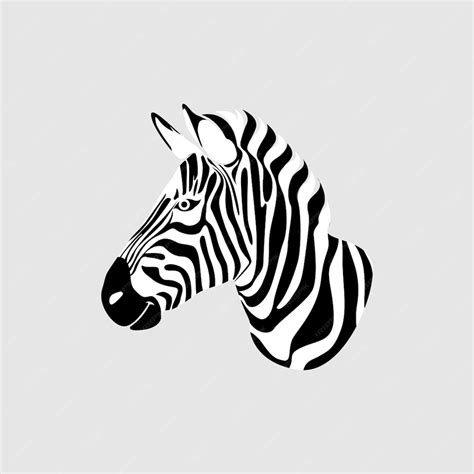 Premium Vector Vector Illustration Of Zebra Head Beautiful Zebra
