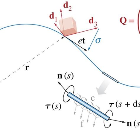 The Cosserat Rod Model A Filament Deforming In The Three Dimensional
