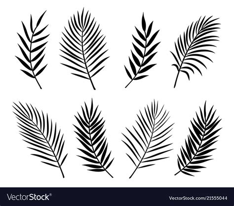 Leaf Vector Black And White