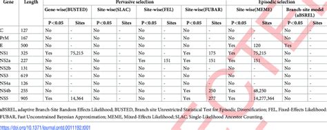 Evidence For Adaptive Selection On The Full Open Reading Frame Orf Of