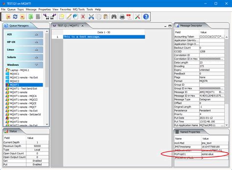 Java Setting Ibm Mq Custom Property In Jms Doesnt Work Stack Overflow