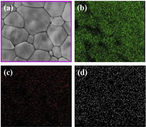 EDX Mapping Images Of The Zr 1 X Ce X SiO 4 Sample Representative SEM Download Scientific