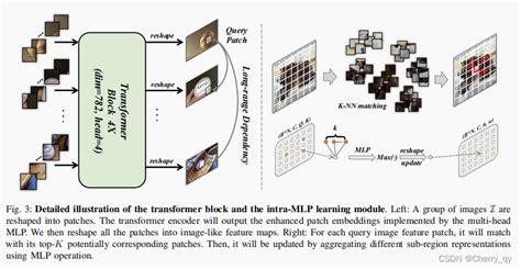 Vsod Ufo A Unified Transformer Framework For Cos Cosd Vsoda Unified Transformer Framework