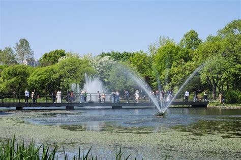 여름방학 찐친과 함께 우정 여행 떠나자 서울 하루 여행 코스 추천 네이트뷰